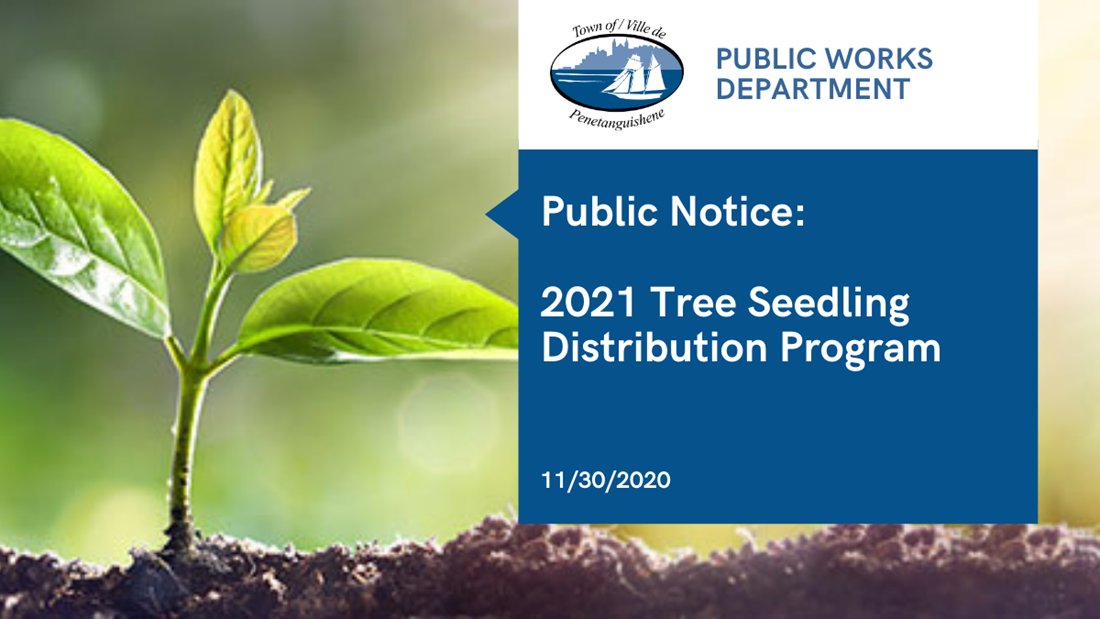 2021 Tree Seedling Distribution Program - Town of Penetanguishene